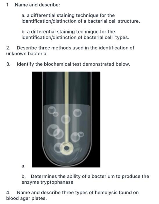 Solved 1. Name and describe: a. a differential staining | Chegg.com