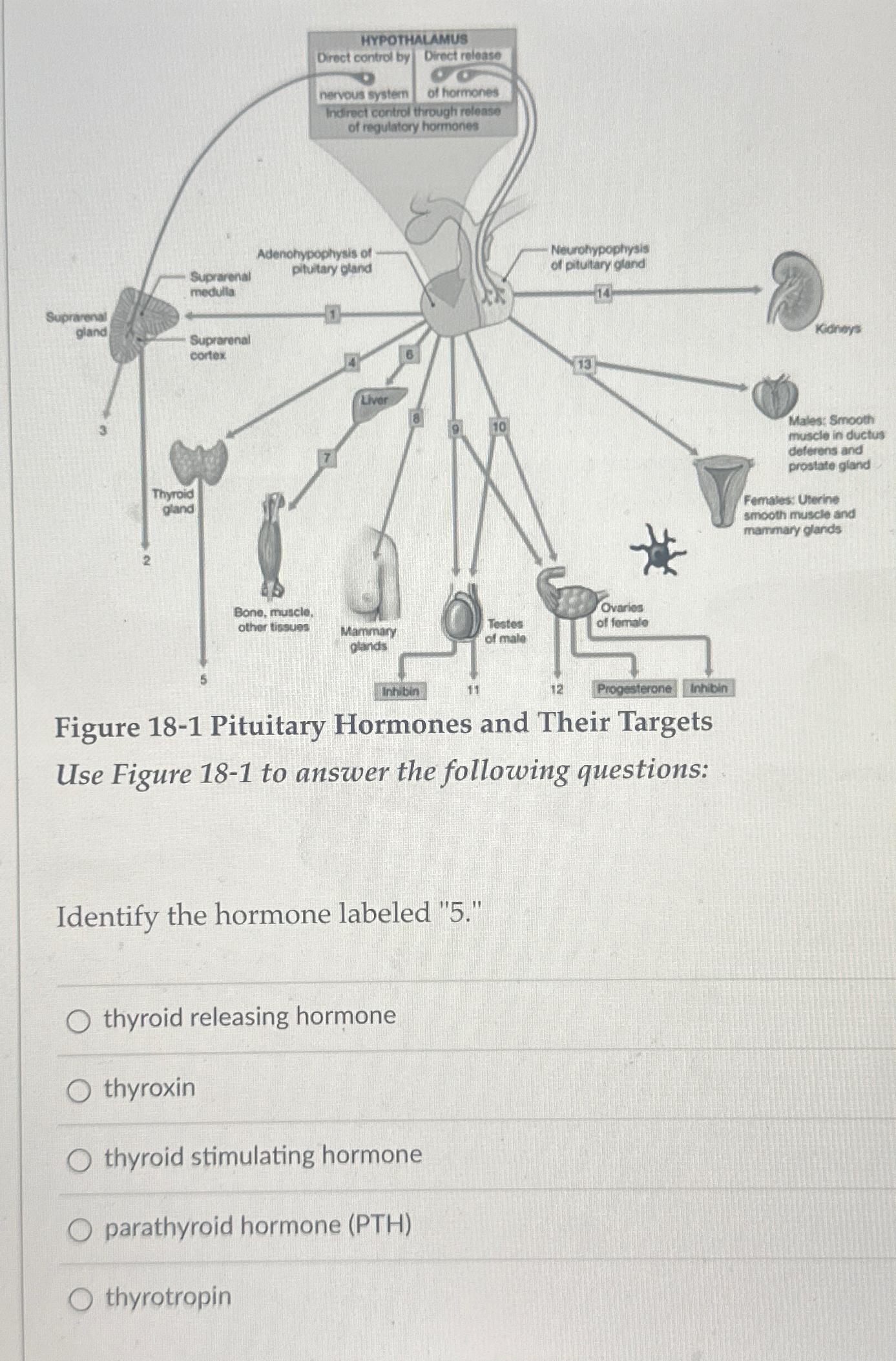Solved Figure 18-1 Pituitary Hormones and Their TargetsUse | Chegg.com Solved Figure 18-1 Pituitary Hormones and Their TargetsUse | Chegg.com