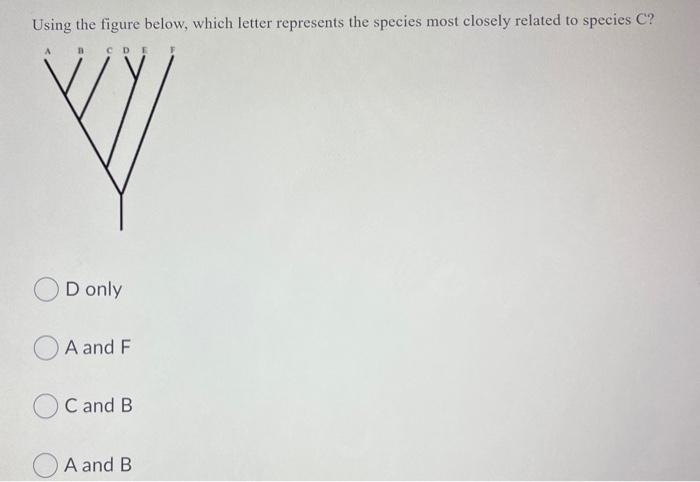 Solved Select the types of data used to create phylogenetic | Chegg.com