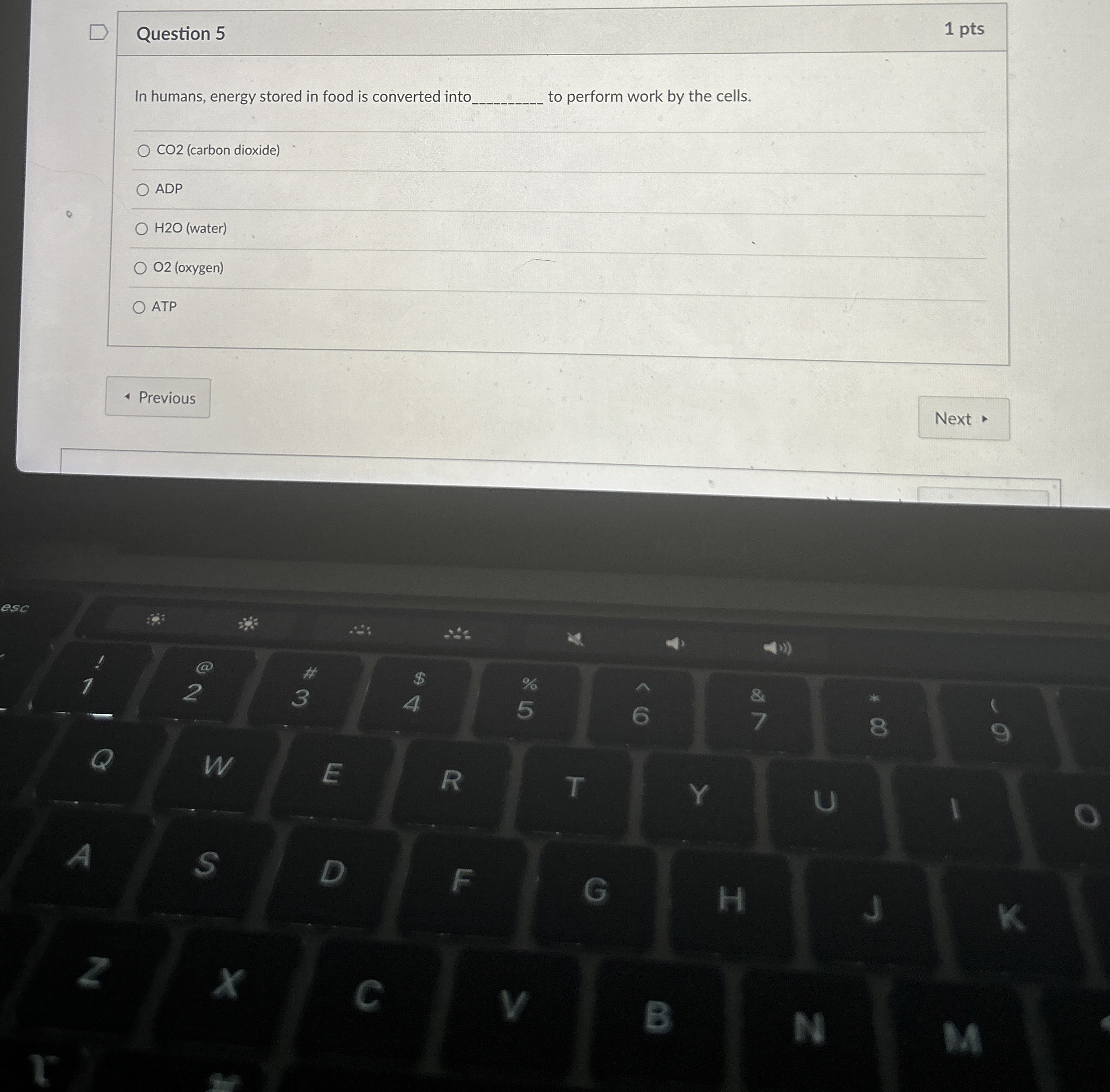 Solved Question 51 ﻿ptsIn humans, energy stored in food is | Chegg.com