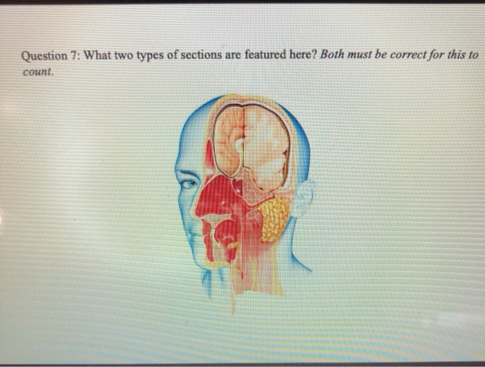 Solved Question 7: What two types of sections are featured | Chegg.com