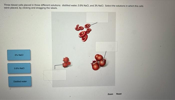 Solved Three blood cells placed in three different | Chegg.com