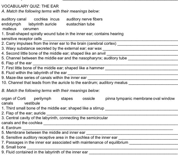 Solved VOCABULARY QUIZ: THE EAR A. Match the following terms | Chegg.com
