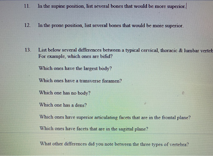 Solved 11. In the supine position, list several bones that | Chegg.com