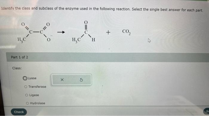 Solved Identify the class and subclass of the enzyme used in | Chegg.com