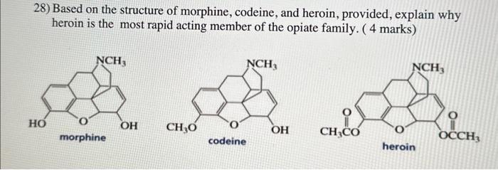 Solved 28) Based on the structure of morphine, codeine, and | Chegg.com