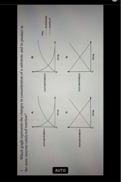 Solved 1 Which graph represents the changes in concentration | Chegg.com