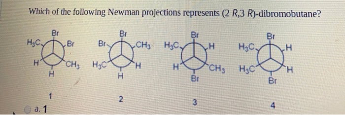 Solved Which of the following Newman projections represents | Chegg.com