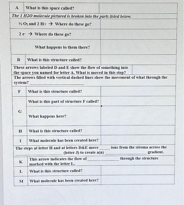 Solved For your convenience, I have also included the | Chegg.com