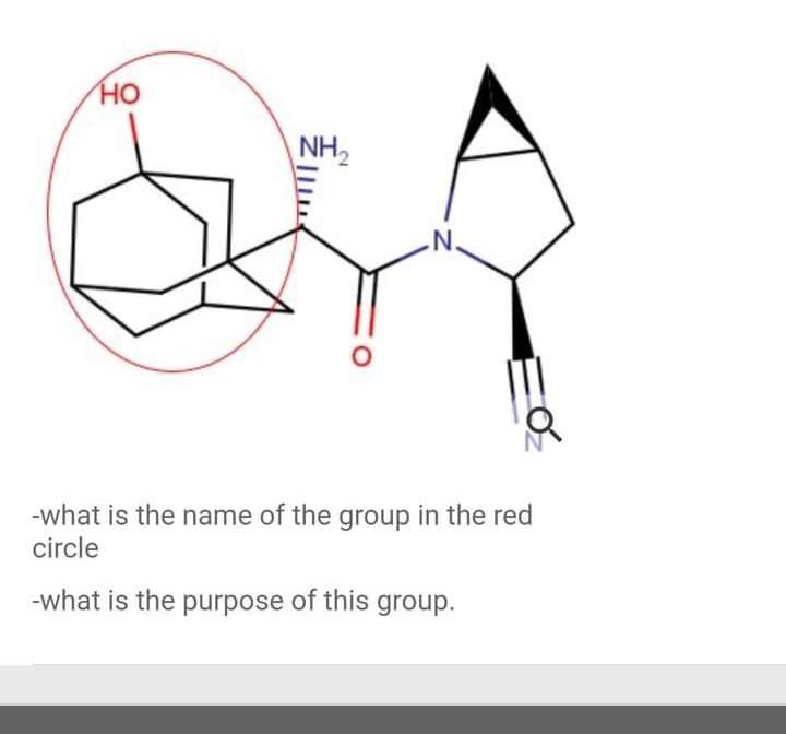 Solved HO 로 NH2 A -what is the name of the group in the red | Chegg.com