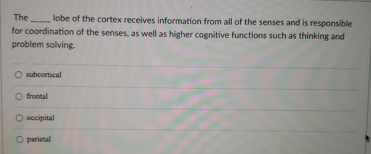 Solved The q, ﻿lobe of the cortex receives information from | Chegg.com