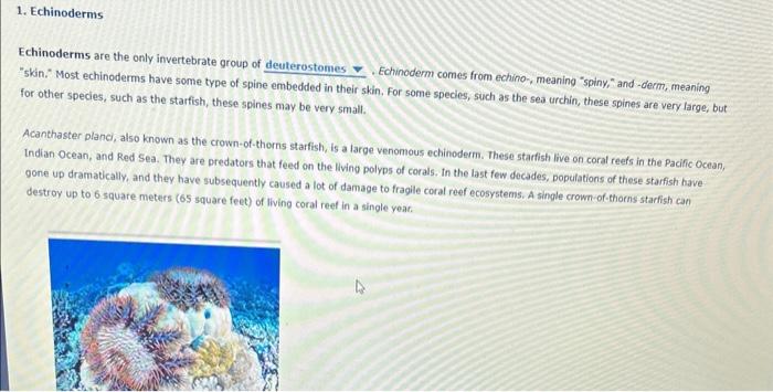 Solved Echinoderms are the only invertebrate group of | Chegg.com