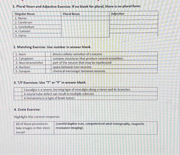 Solved 1. Plural Noun and Adjective Exercise: If no blank | Chegg.com