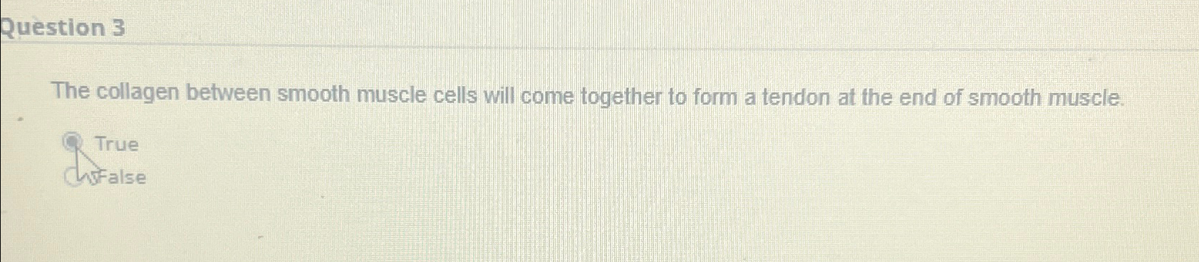 Question 3The collagen between smooth muscle cells | Chegg.com