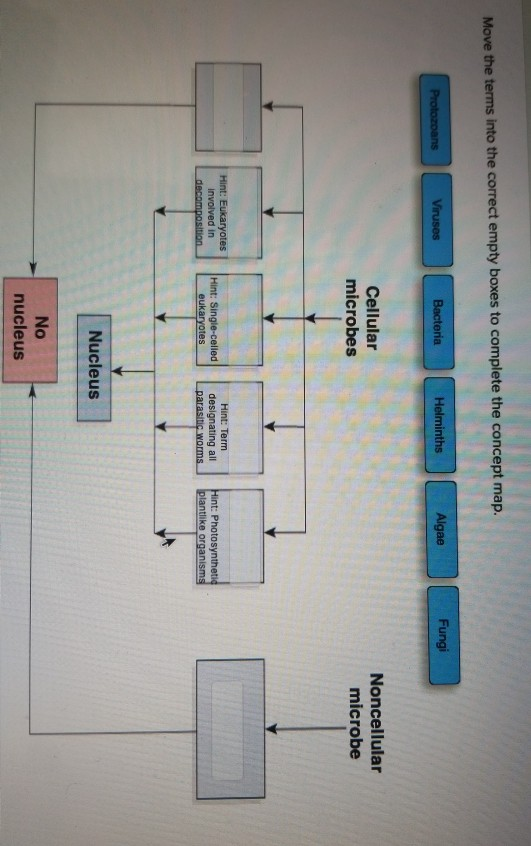 Solved Move the terms into the correct empty boxes to | Chegg.com