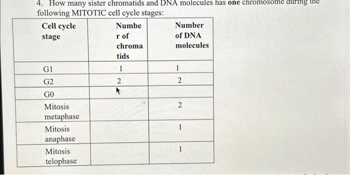 Solved 4. How many sister chromatids and DNA molecules has | Chegg.com
