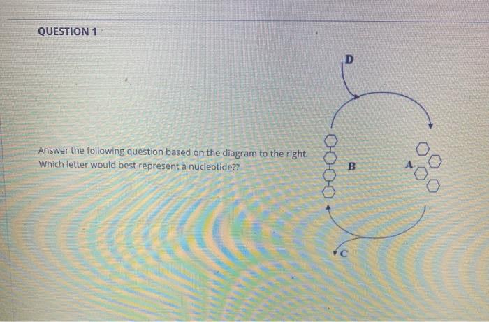 Solved QUESTION 12 (comprehension) Containers A and B are | Chegg.com
