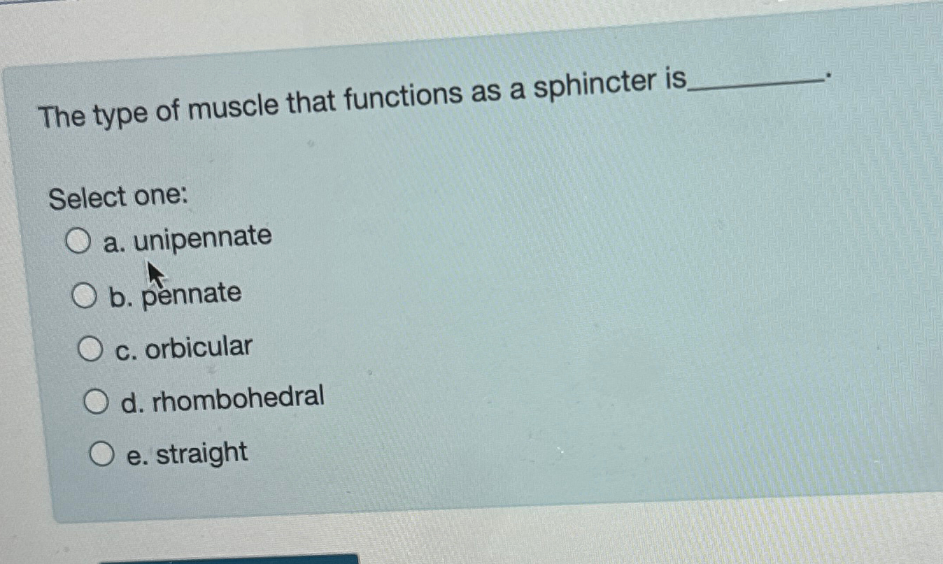 Solved The type of muscle that functions as a sphincter is | Chegg.com