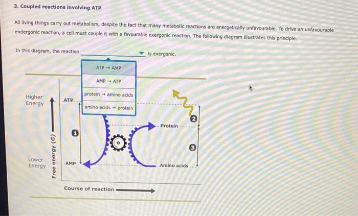 Solved All living things carry out metabolism, despite the | Chegg.com