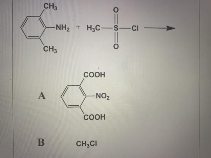Solved CH3 -NH2 + H3C—S-CI CH3 COOH А -NO2 COOH B CH3CI | Chegg.com