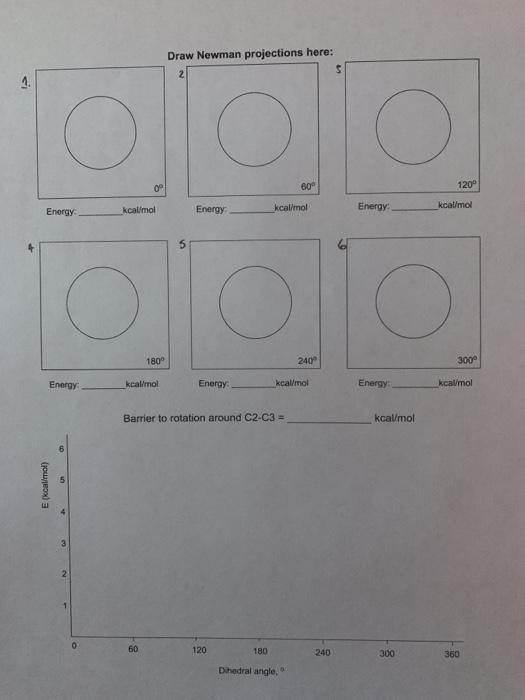 Solved Modeling Exercise 1. Conformation Use your model kit | Chegg.com
