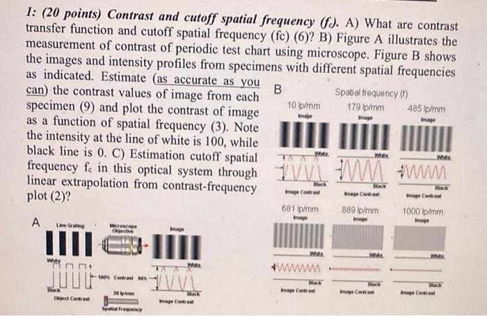 1 20 Points Contrast And Cutoff Spatial Frequency