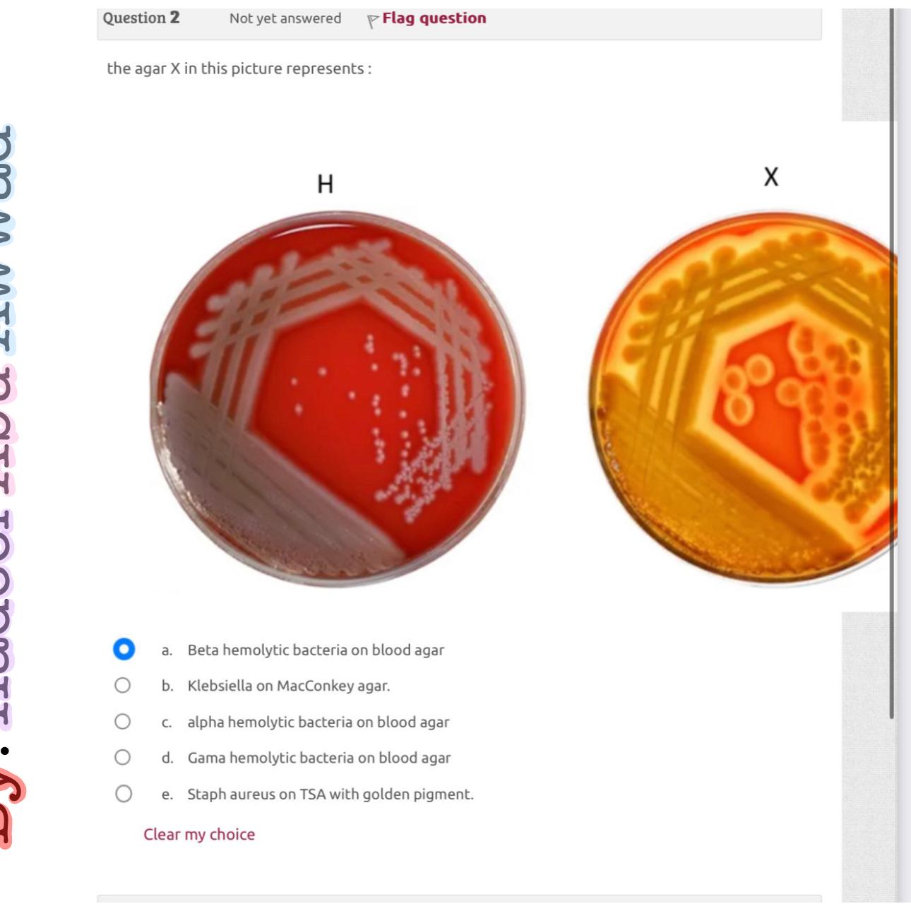 Question 2Not yet answeredFlag questionthe agar x ﻿in | Chegg.com