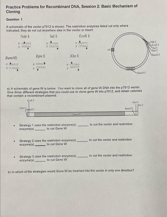 Practice Problems for Recombinant DNA, Session 2: | Chegg.com