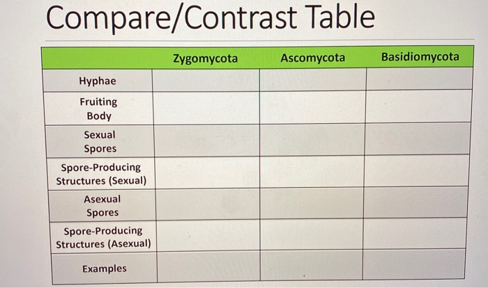 Solved Compare/Contrast Table Zygomycota Ascomycota | Chegg.com