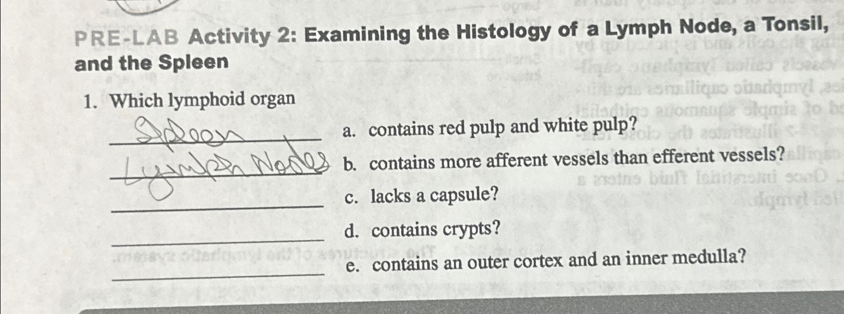 Solved PRE-LAB Activity 2: Examining the Histology of a | Chegg.com Solved PRE-LAB Activity 2: Examining the Histology of a | Chegg.com