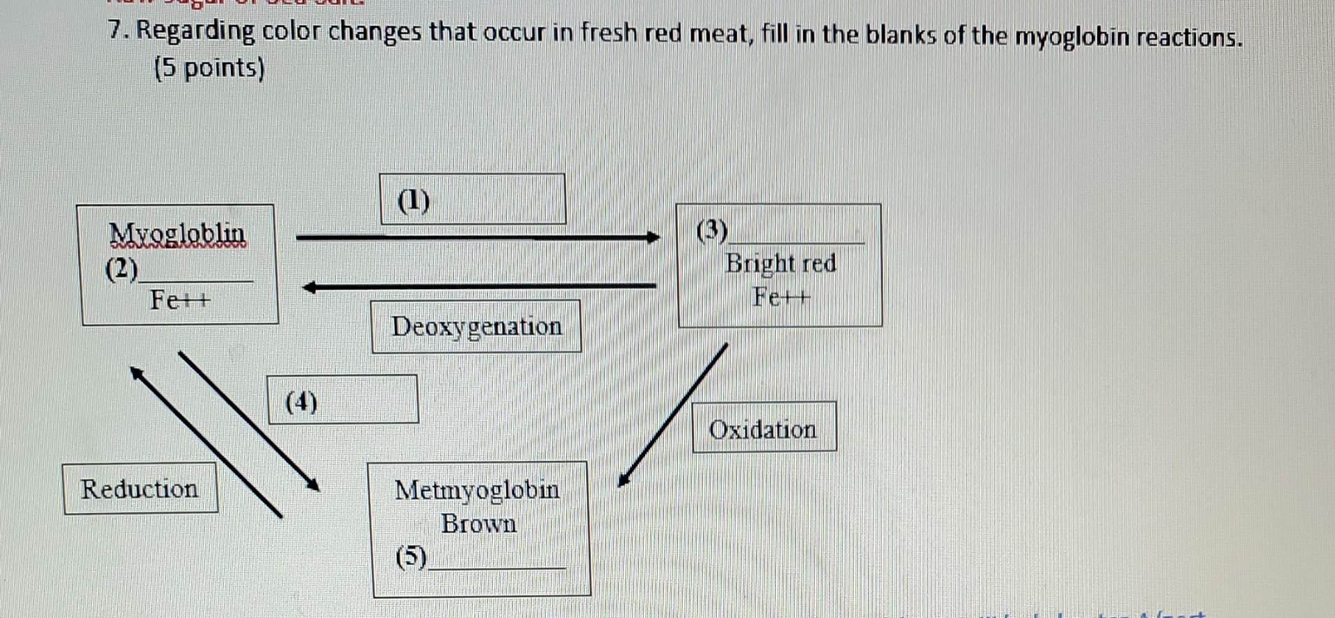 Solved 7. Regarding color changes that occur in fresh red | Chegg.com
