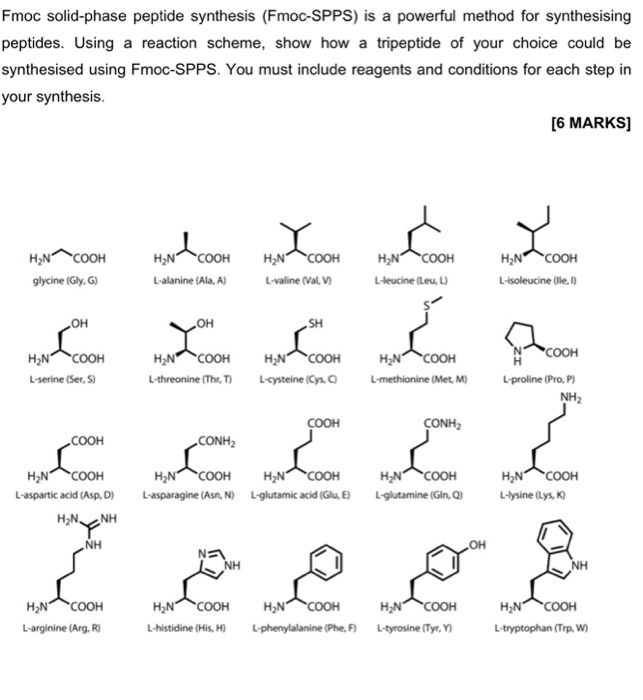 Solved нэмсоон Fmoc solid-phase peptide synthesis | Chegg.com