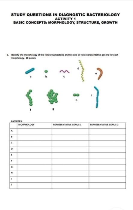 Solved STUDY QUESTIONS IN DIAGNOSTIC BACTERIOLOGY ACTIVITY 1 | Chegg.com