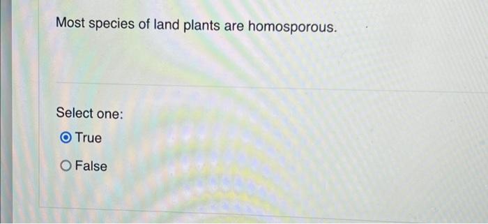 Solved Most species of land plants are homosporous. Select | Chegg.com