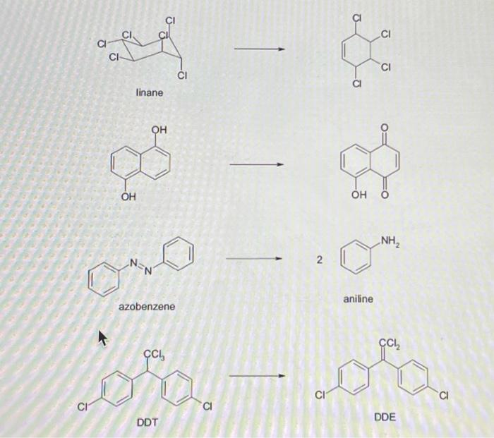 Solved Indicate whether the following processes involve | Chegg.com