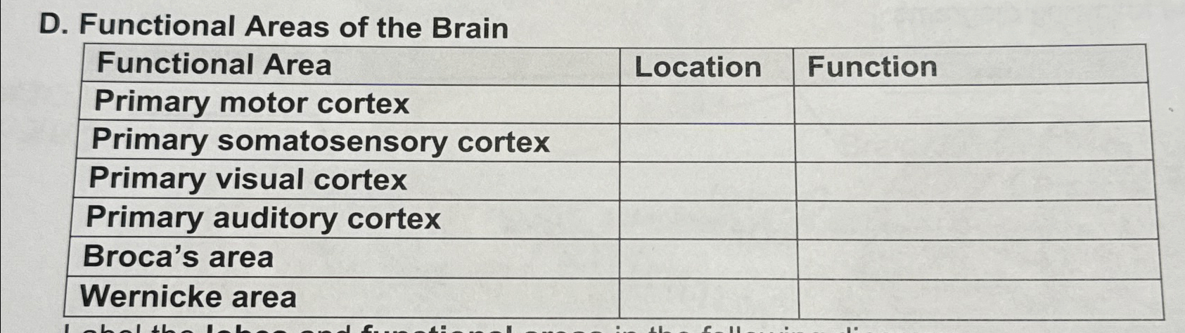 Solved D. ﻿Functional Areas of the Brain\table[[Functional | Chegg.com