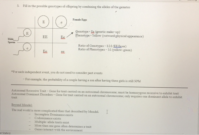 Solved Sexual Reproduction, Heredity, and Mendelian Genetics | Chegg.com