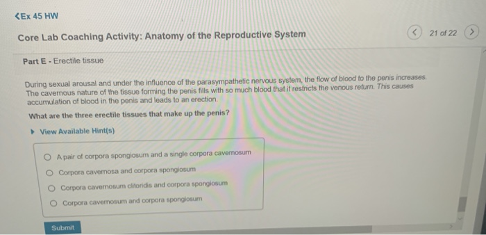 Solved Core Lab Coaching Activity: Anatomy of the | Chegg.com