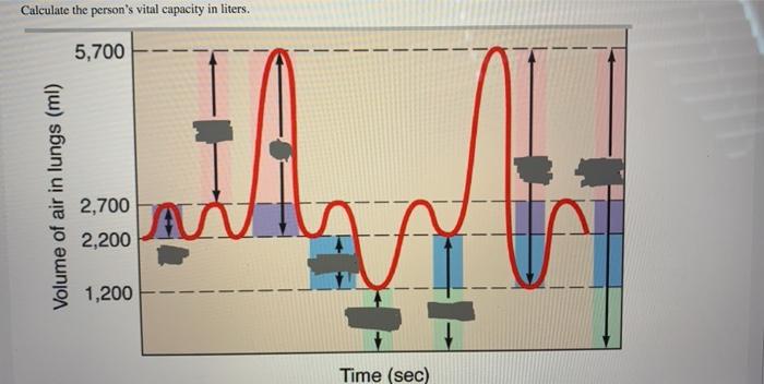 Solved Calculate the person's vital capacity in | Chegg.com