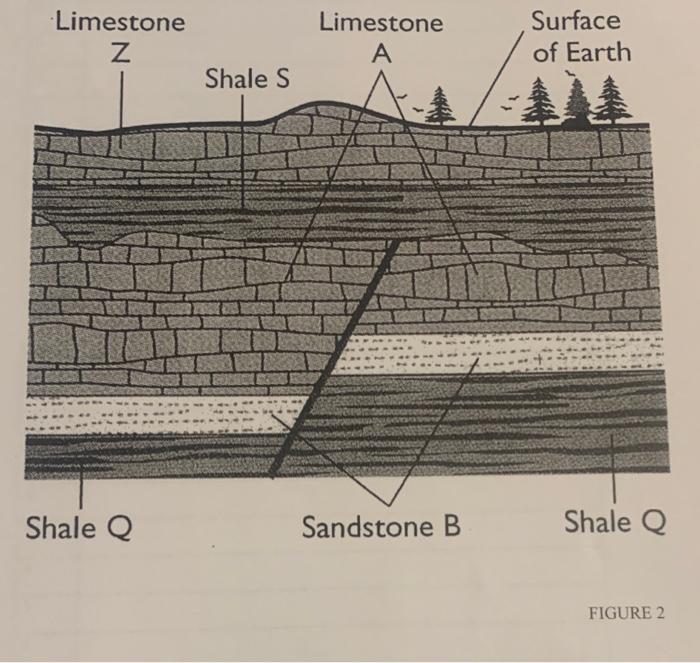Solved Shale Conglomerate Surface of Earth va Sandstone | Chegg.com