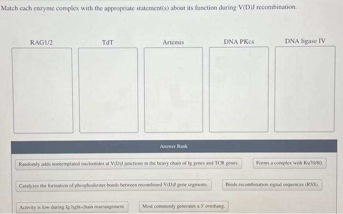 Solved Match each enzyme complex with the appropriate | Chegg.com