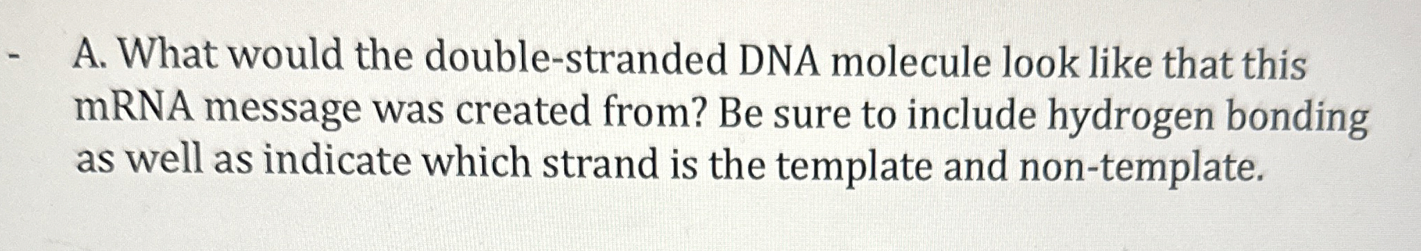 Solved A. ﻿What would the double-stranded DNA molecule look | Chegg.com