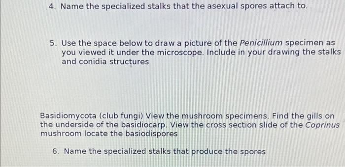 Protista and Fungi Lab Learning Objectives - Be able | Chegg.com