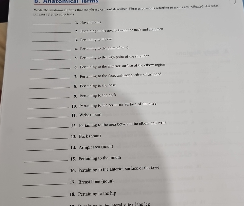Solved Write the anatomical terms that the phrase or word | Chegg.com