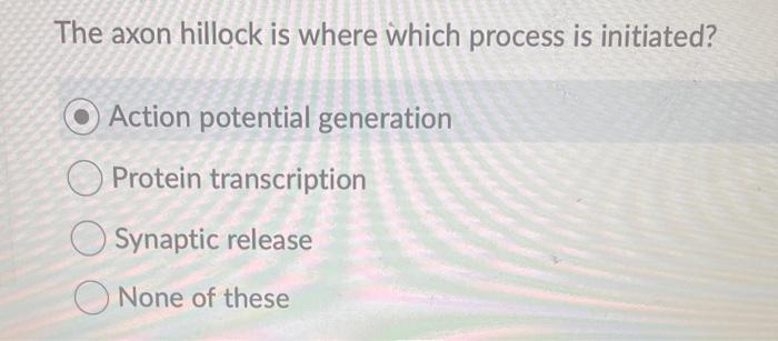 Solved The axon hillock is where which process is initiated? | Chegg.com