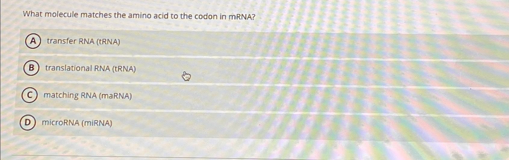 Solved What molecule matches the amino acid to the codon in | Chegg.com