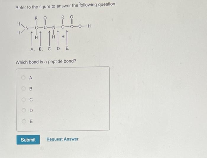 Solved Refer to the figure to answer the following question. | Chegg.com