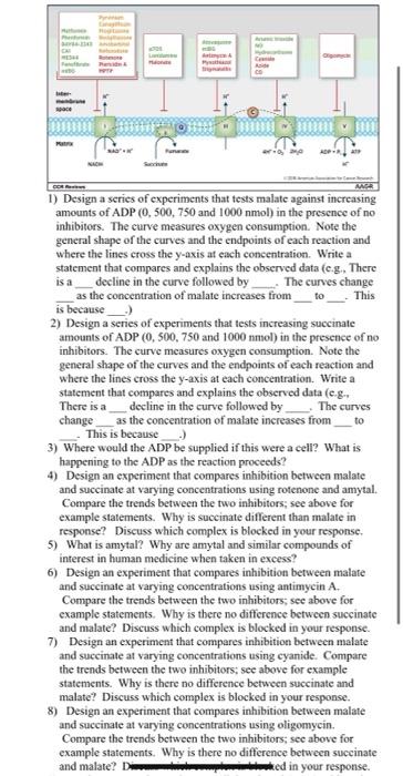 pace 1100 AWR to 1) Design a series of experiments | Chegg.com