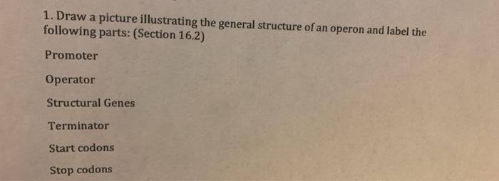 Solved Draw a picture illustrating the general structure of | Chegg.com