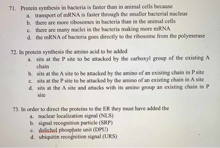Solved 71. Protein synthesis in bacteria is faster than in | Chegg.com